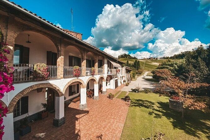 Tasting of 7 wines in the Langhe and visit to the cellar - Key Points