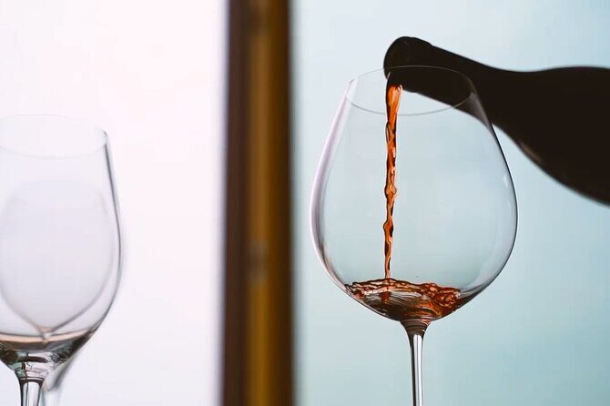 Tasting of Organic Mountain Wines with Vineyard and Cellar Tour - An In-Depth Look at the Experience