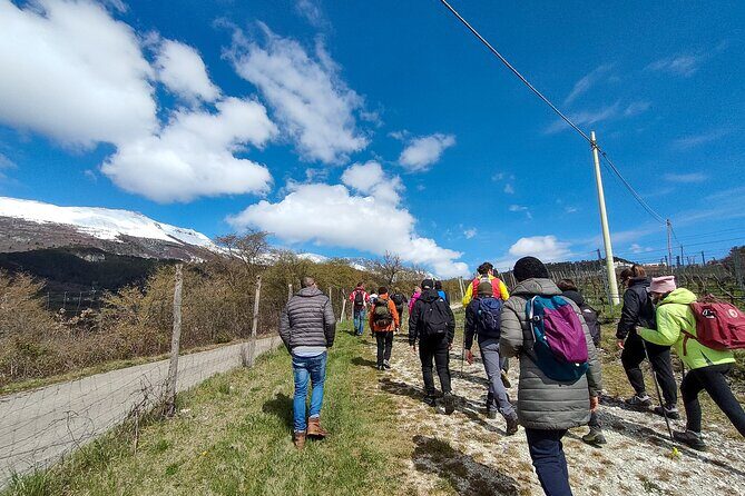 Tasting of Organic Mountain Wines with Vineyard and Cellar Tour - Who Will Love This Experience?
