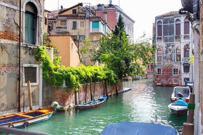 Tasty Street Food Tour of Venice City Center with Cicchetti & Local Specialties - Concluding the Tour with a Sweet Touch