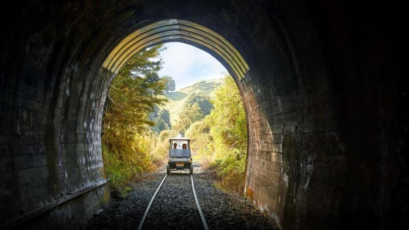 Taumarunui: Forgotten World Rail Cart Tour with Lunch - Taumarunui: Forgotten World Rail Cart Tour with Lunch — An Authentic Kiwi Adventure