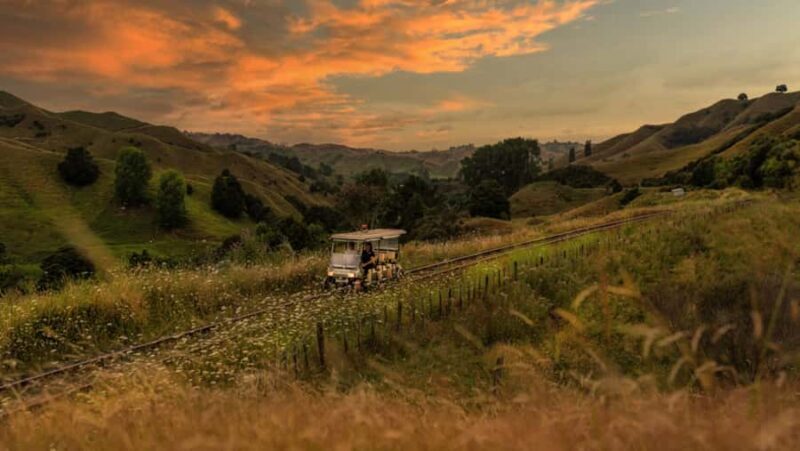 Taumarunui: Forgotten World Rail Cart Tour with Lunch - The Value of This Experience