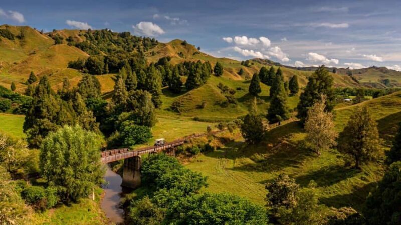 Taumarunui: Railcart and Jetboat Adventure with lunch - Exploring the Itinerary in Detail