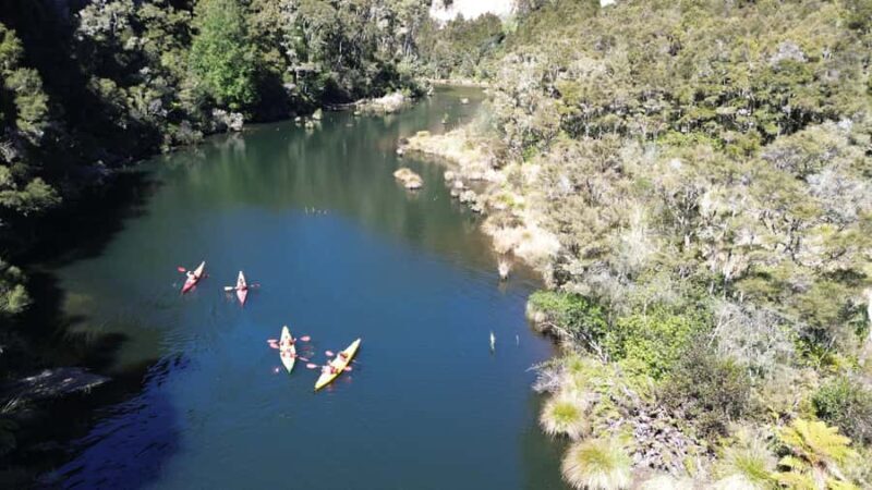 Taup: Hidden Lake Kayak Tour with Sunken Forest Views - Key Points