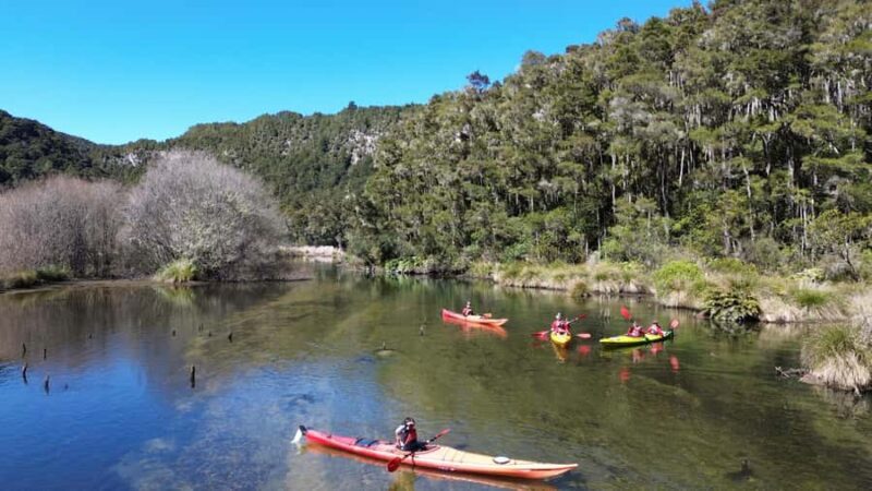Taup: Hidden Lake Kayak Tour with Sunken Forest Views - An Authentic Paddle in Taup’s Quiet Wilderness