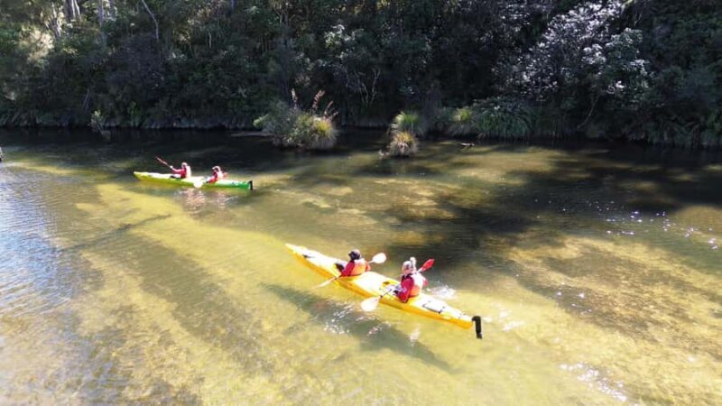 Taup: Hidden Lake Kayak Tour with Sunken Forest Views - Exploring Hidden Waterways and Canyons