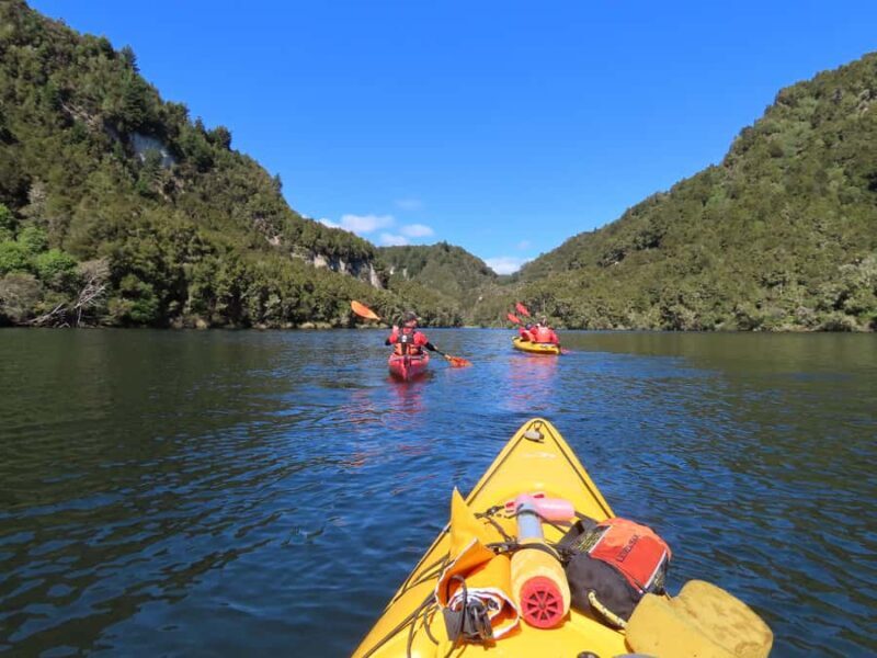 Taup: Hidden Lake Kayak Tour with Sunken Forest Views - Who Will Love This Experience?