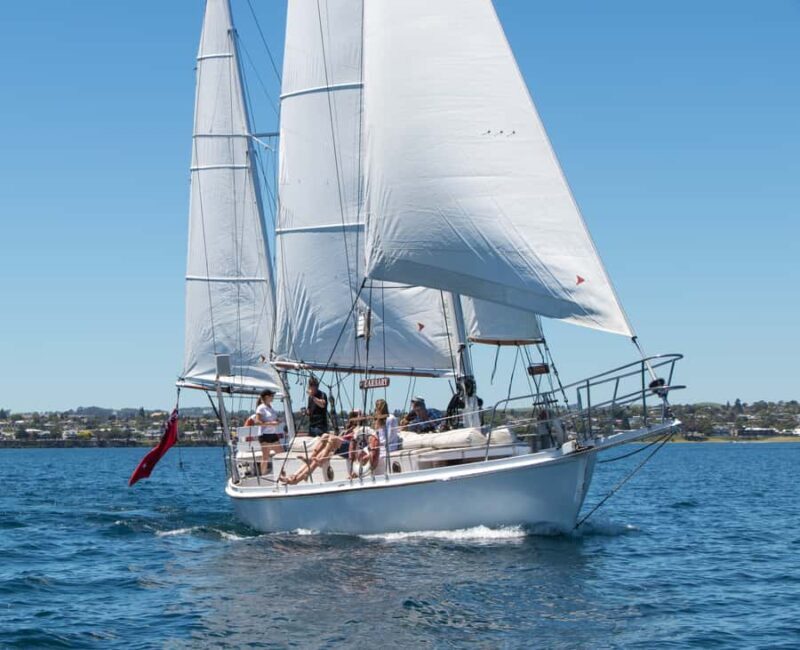 Taup: Sail Barbary Eco Sailing to the Maori Rock Carvings - Breakdown of What You Can Expect
