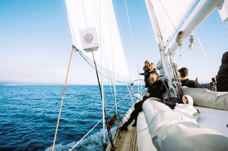 Taup: Sail Barbary Eco Sailing to the Maori Rock Carvings - Frequently Asked Questions (FAQs)