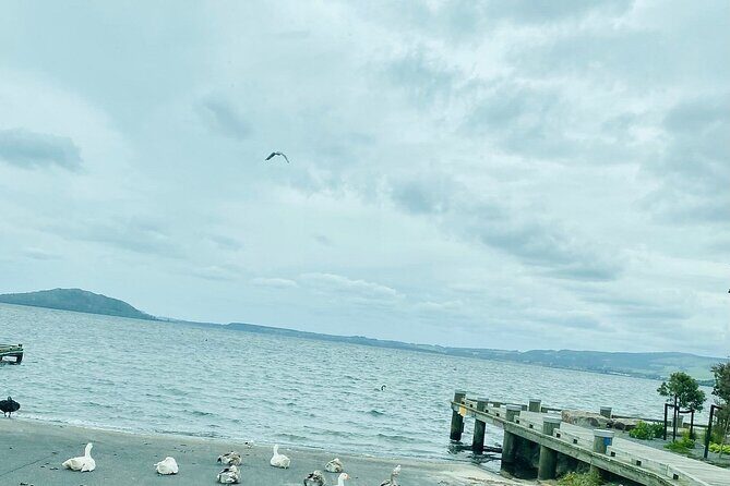 Taup to Auckland via Rotorua and Hobbiton - FAQ