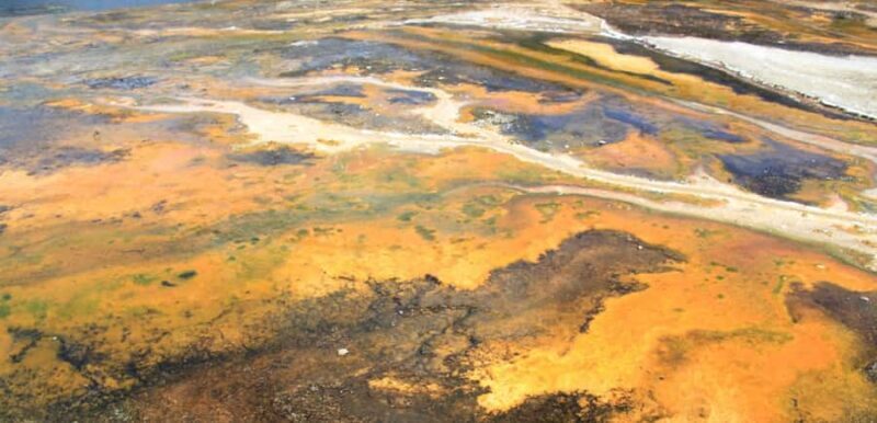 Taupo: Orakei Korako Geothermal Park and Cave Entry Ticket - Who Will Love This Tour?