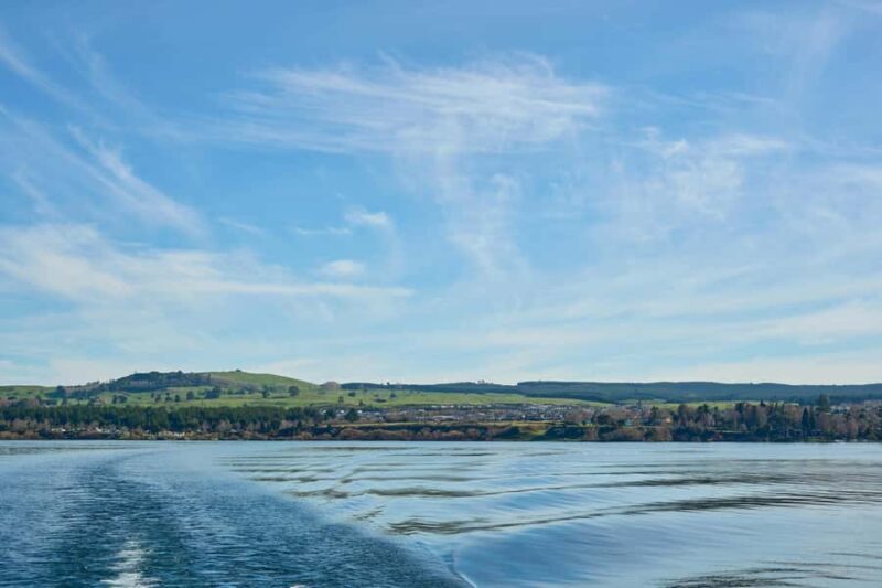 Taupo/Turangi: The Torohe Half-Day Horse Trek - Exploring the Details of the Torohe Half-Day Horse Trek