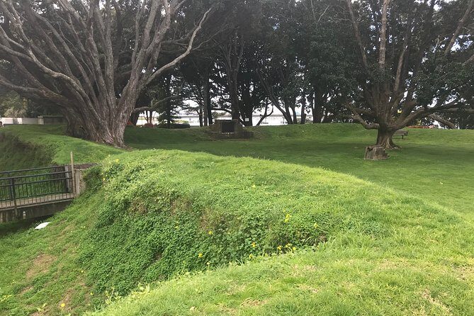 Tauranga City & History Scenic Tour 2 Hours - Analyzing the Experience: What Travelers Say