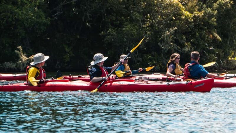 Tauranga: Daytime Scenic Lake McLaren Kayak Tour - The Sum Up