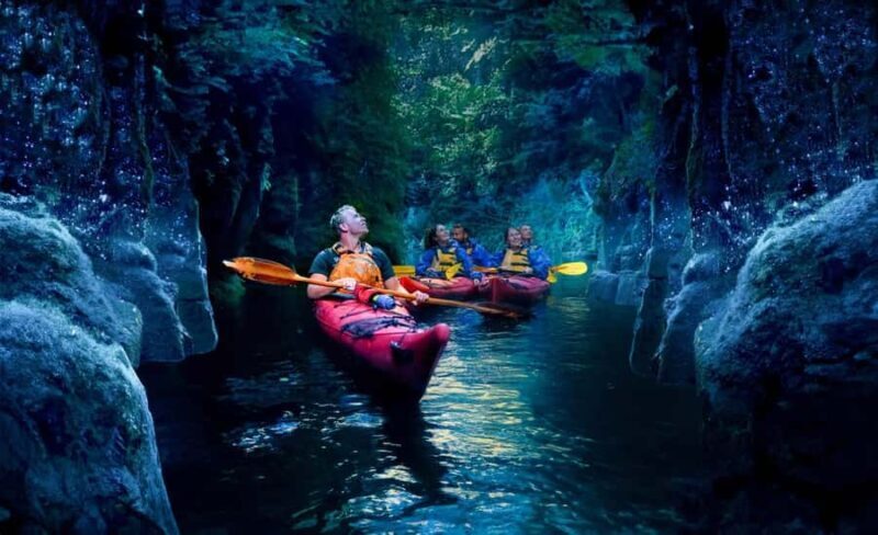 Tauranga: Evening Glowworm Kayak Tour - The Experience: What to Expect on Your Night Kayak Adventure