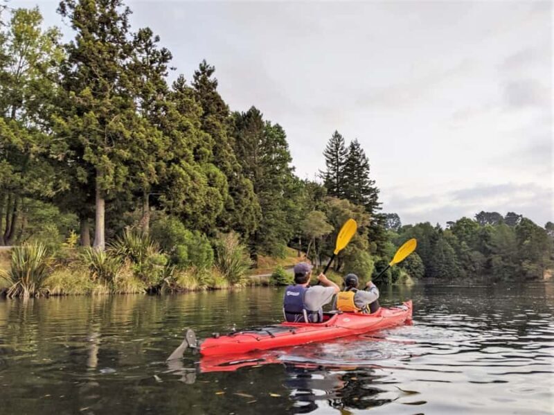 Tauranga: Evening Glowworm Kayak Tour - Practical Details: What You Need to Know