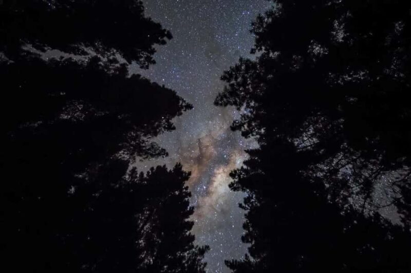 Tauranga: Evening Glowworm Kayak Tour - Authentic Reviews & Insights