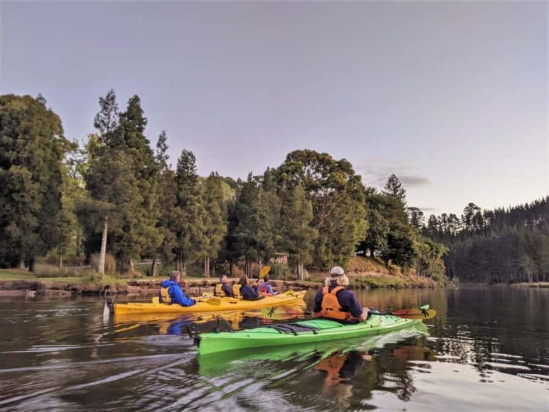 Tauranga: Evening Glowworm Kayak Tour - FAQs