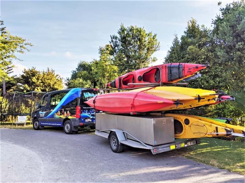 Tauranga: Evening Glowworm Kayak Tour - Final Thoughts