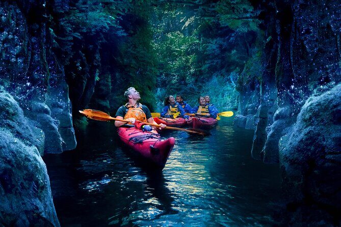Tauranga: Evening Glowworm Kayak Tour - The Value of this Tour