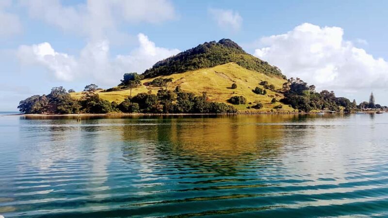 Tauranga Harbour Cruise - What to Expect on the Tauranga Harbour Cruise
