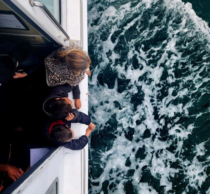 Tauranga Harbour Cruise - Wildlife and Natural History  