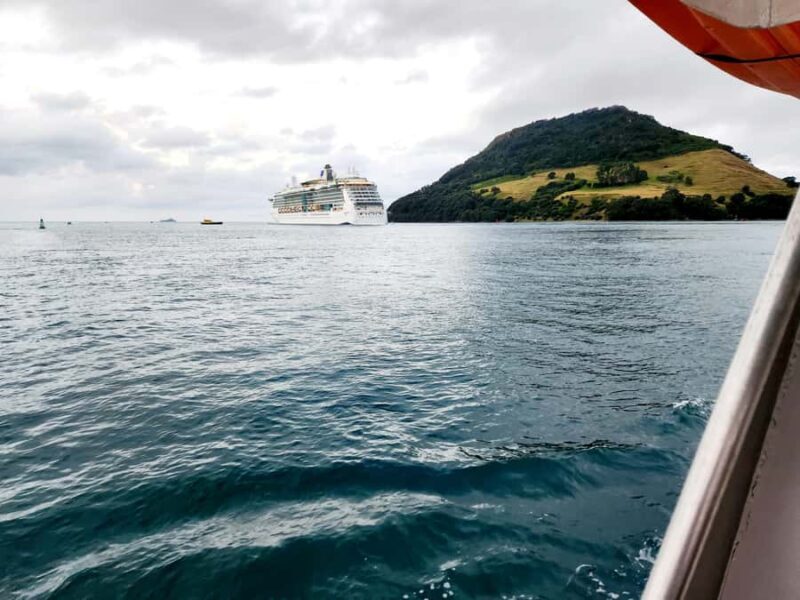 Tauranga Harbour Cruise - The Vessel and Comfort  