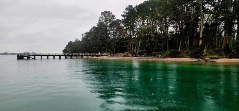Tauranga Harbour Cruise - Who Should Consider This Tour?