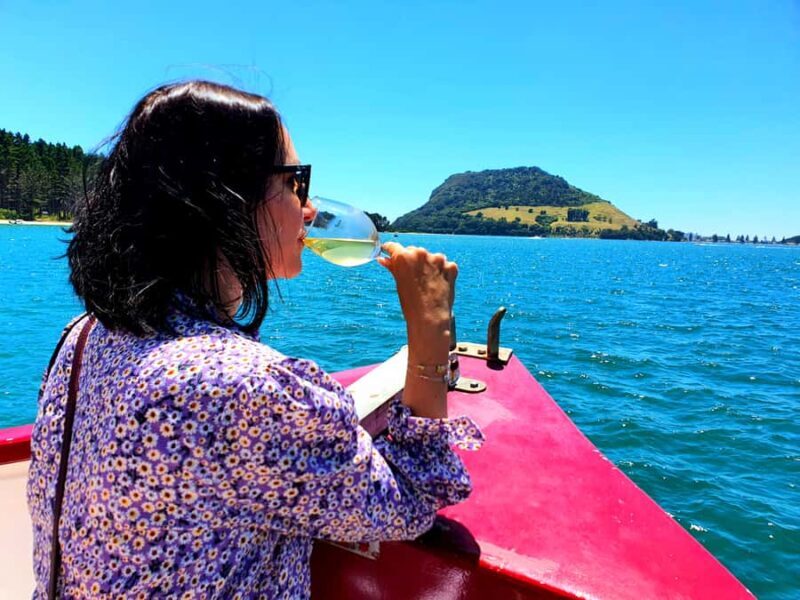 Tauranga: Mount Maunganui Harbour Sightseeing Cruise - What to Expect from the Tauranga Harbour Sightseeing Cruise