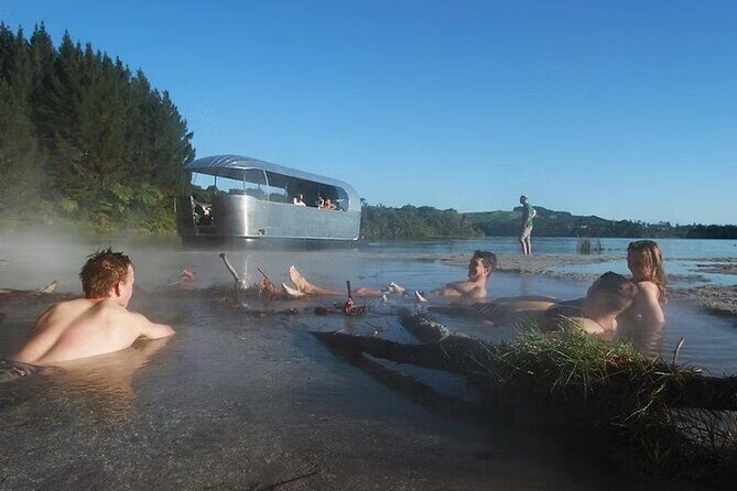 Tauranga Port - Pure Cruise Rotoiti Lake, Glowworms & Hells Gate - Exploring Taurangas Natural Treasures: A Detailed Look at the Pure Cruise Rotoiti Lake, Glowworms & Hells Gate Tour