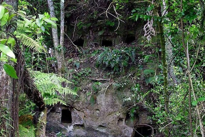 Tauranga Port - Pure Cruise Rotoiti Lake, Glowworms & Hells Gate - Key Points  