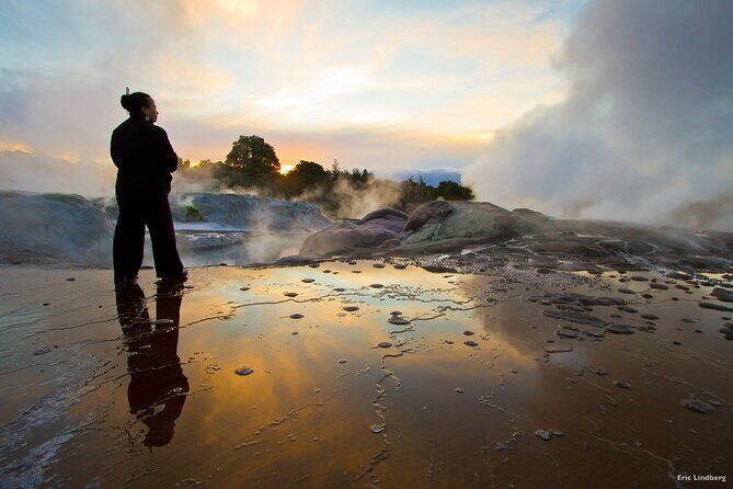 Tauranga Private Excursion: Rotorua -Te Puia-Geysers & Kiwi's - A Closer Look at the Itinerary