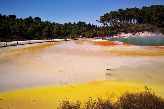 Tauranga Private Tour - Rotorua Geysers & Wai O Tapu Wonderland. - A Deep Dive Into the Itinerary: What You Can Expect