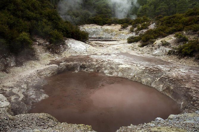 Tauranga Private Tour - Rotorua Geysers & Wai O Tapu Wonderland. - Who Will Love This Experience?