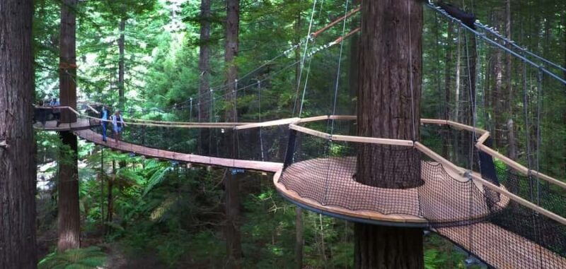 Tauranga: Rotorua Redwoods Tour & Maori Village Experience - Key Points