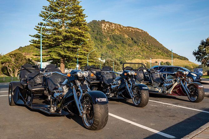 TAURANGA SHORE EXCURSION: Epic 25 min V8 Trike tour of Mt Maunganui & Tauranga - Practical Tips for Your Trike Adventure