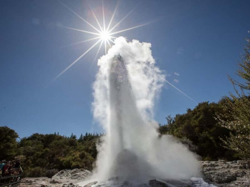 Tauranga: Wai-o-Tapu with Redwood Forest Walk or Forest Spa - Key Points