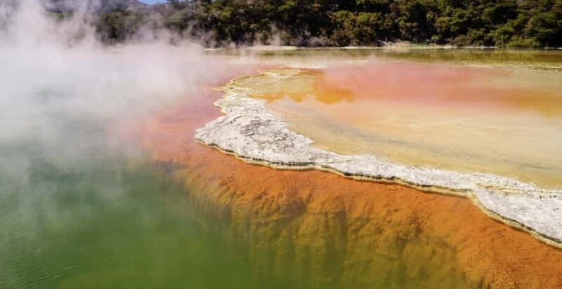 Tauranga: Wai-o-Tapu with Redwood Forest Walk or Forest Spa - What to Expect from This Tour