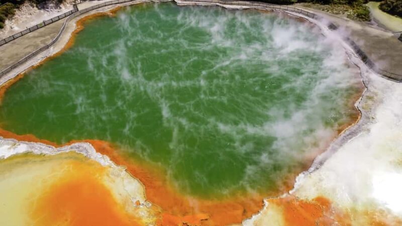 Tauranga: Wai-o-Tapu with Redwood Forest Walk or Forest Spa - Why This Tour Is a Great Choice