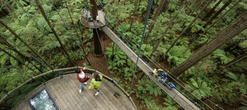 Tauranga: Wai-o-Tapu with Redwood Forest Walk or Forest Spa - FAQ