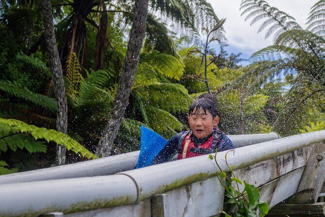 Tauranga: Waimarino Adventure Park - Value for Money and Overall Experience