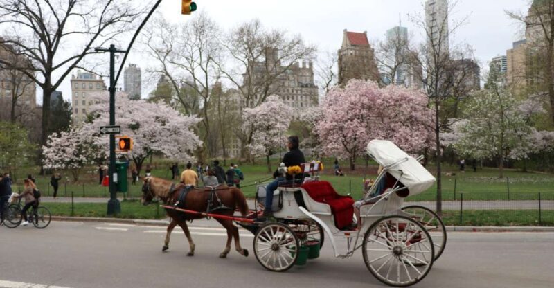 Tavern on the Green PickUp&DropOff With Horse Carriage Ride - Key Points