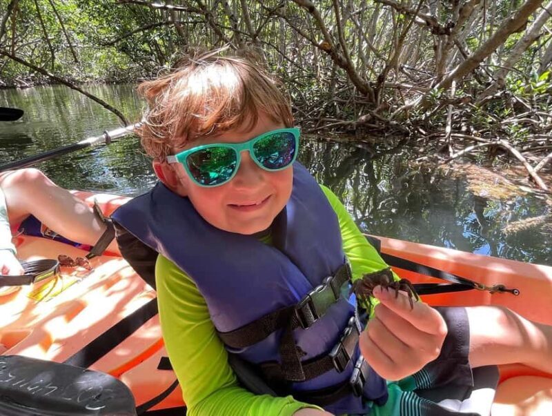 Tavernier, FL: Mangrove and Manatees Guided Kayak Eco Tour - Value for Money: Is It Worth the Price?