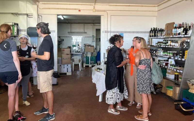 Tavira: Olive Factory Tour and Tasting - The Sum Up
