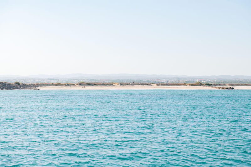 Tavira: Passeio Half Day - Authentic Feedback from Past Travelers