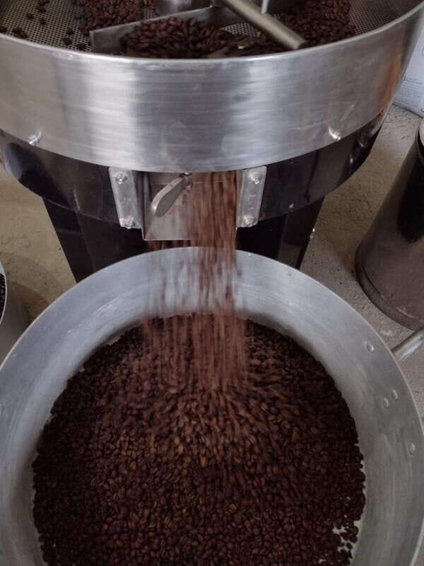 Taxco: Organic Coffee Garden Experience - Transportation, Duration, and Practical Details