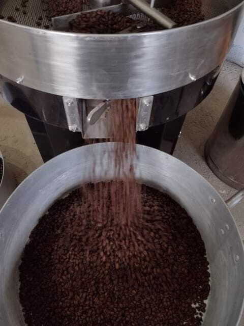 Taxco: Organic Coffee Garden Experience - Authentic Experiences and Local Insights