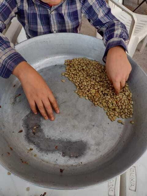 Taxco: Organic Coffee Garden Experience - The Value Proposition