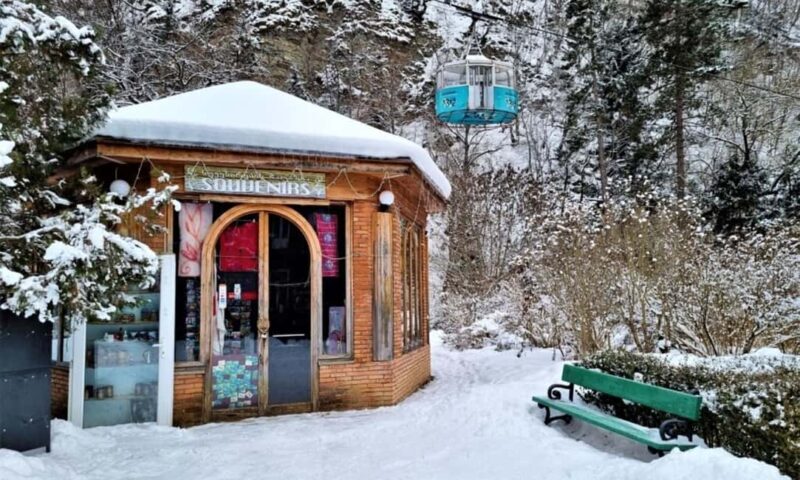 Tbilisi: Borjomi and Bakuriani Day Trip with Guide - Key Points