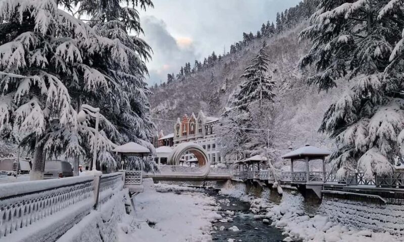 Tbilisi: Borjomi and Bakuriani Day Trip with Guide - The Long Day: Is It Worth It?